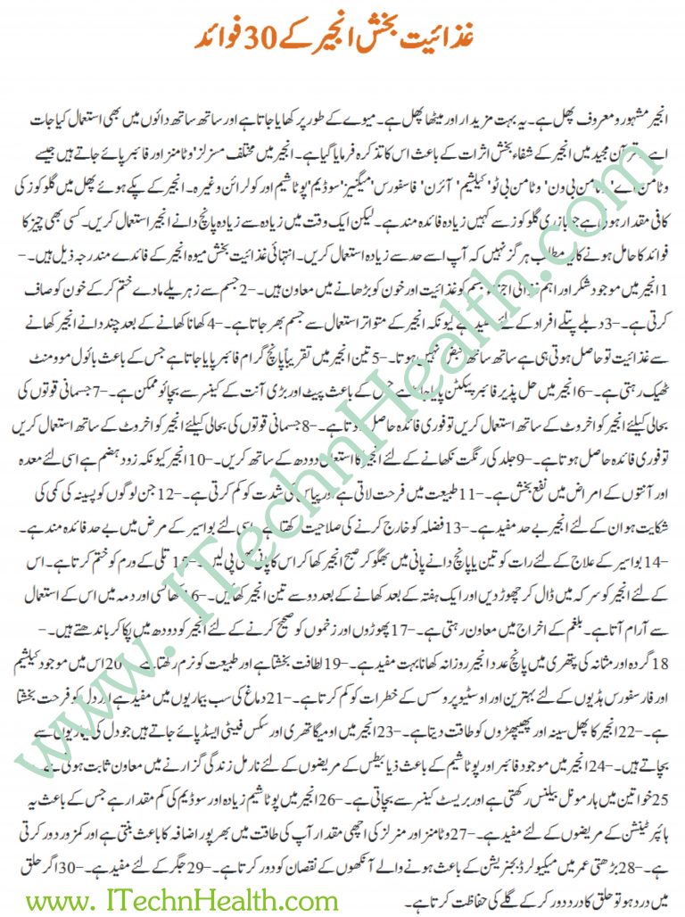 Your Trusted Source for Technology Insights, Health Tips, and Smart ...