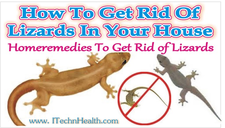 Your Trusted Source for Technology Insights, Health Tips, and Smart ...