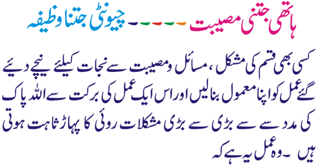 Your Trusted Source for Technology Insights, Health Tips, and Smart ...