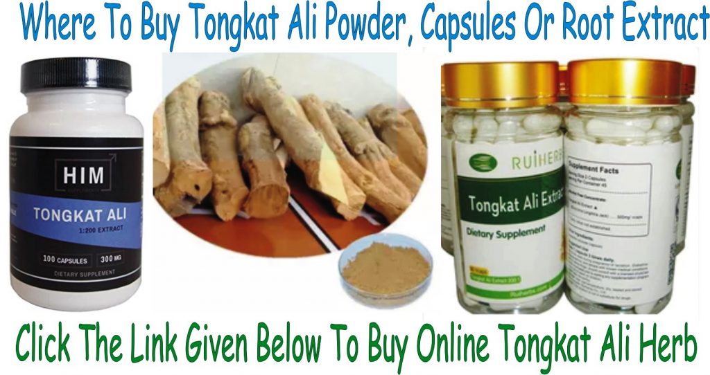 Tongkat Ali Benefits, Tongkat Ali Tea, Tongkat Ali Herb Side Effects ...