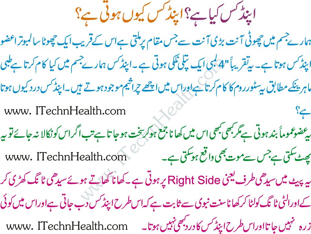 Your Trusted Source for Technology Insights, Health Tips, and Smart ...