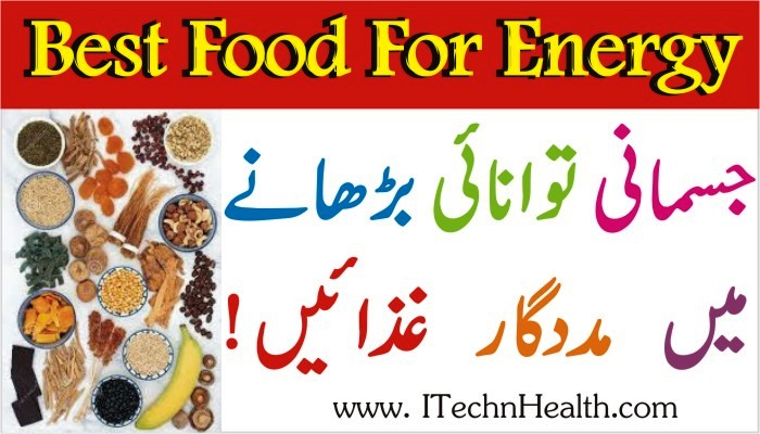 Your Trusted Source for Technology Insights, Health Tips, and Smart ...