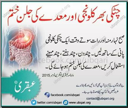 Your Trusted Source for Technology Insights, Health Tips, and Smart ...