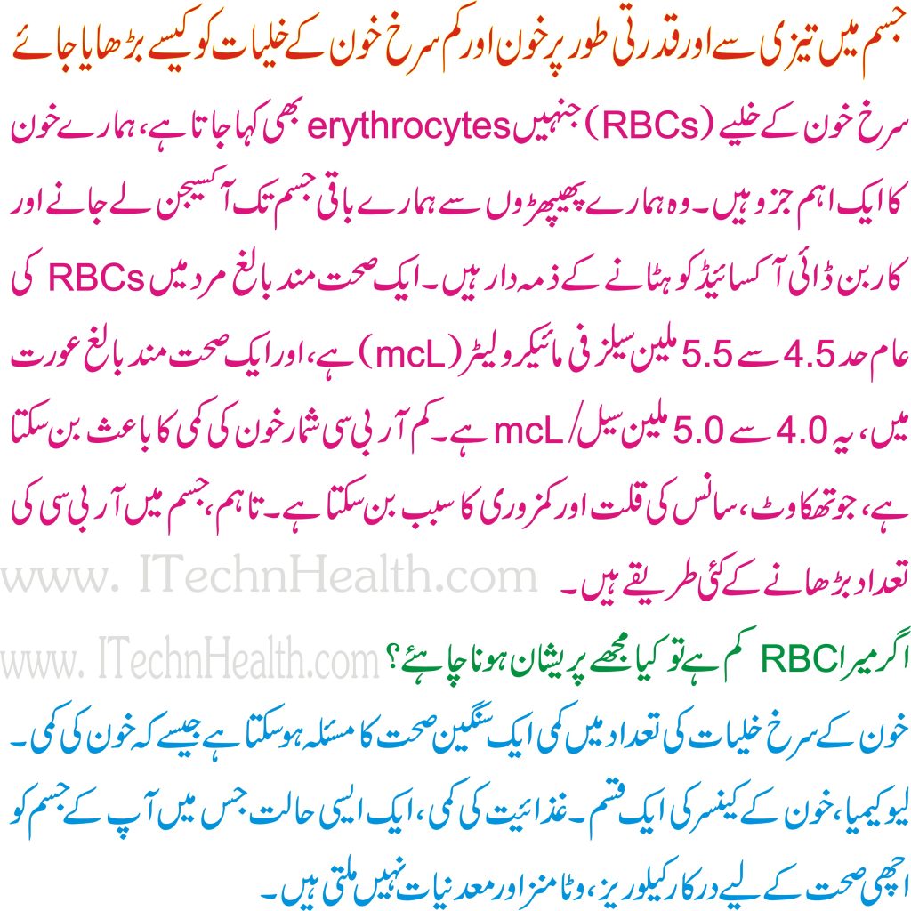 Your Trusted Source for Technology Insights, Health Tips, and Smart ...