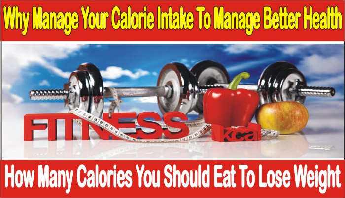 Your Trusted Source for Technology Insights, Health Tips, and Smart ...